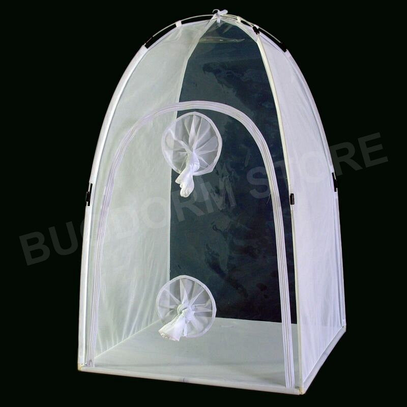 BugDorm-2F400 Insect Rearing Tent (Made On Demand) – InsectaBio