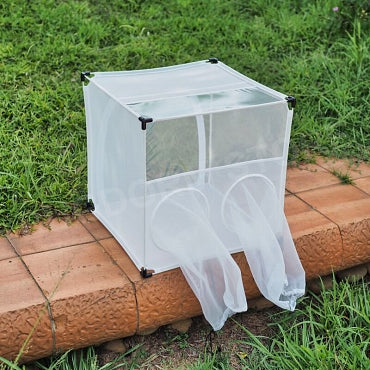 BugDorm-4M4545D Specimen Handling Cage – InsectaBio