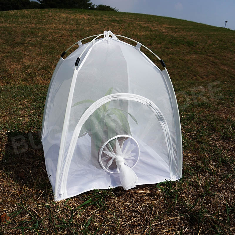 BugDorm-2E120 Insect Rearing Tent – InsectaBio