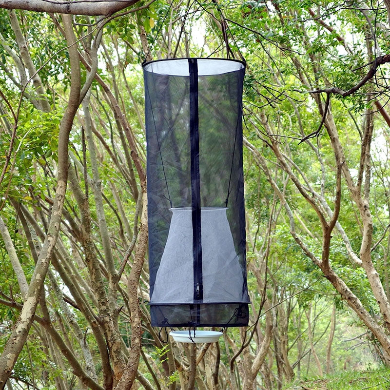 Pop-up Butterfly Bait Trap (cone type, Ø20 cm opening) - DC0022 ...